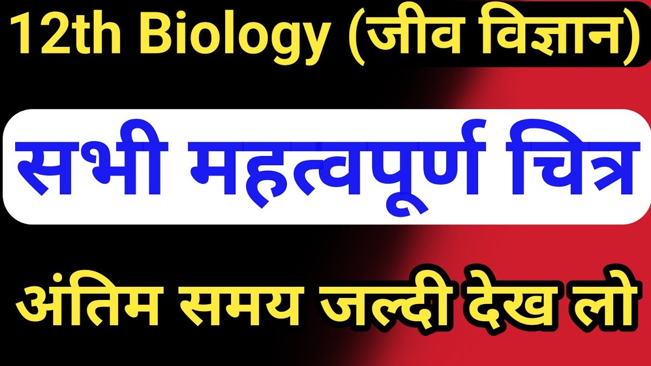 Biology class 12 up board important questions. Biology class 12 ...