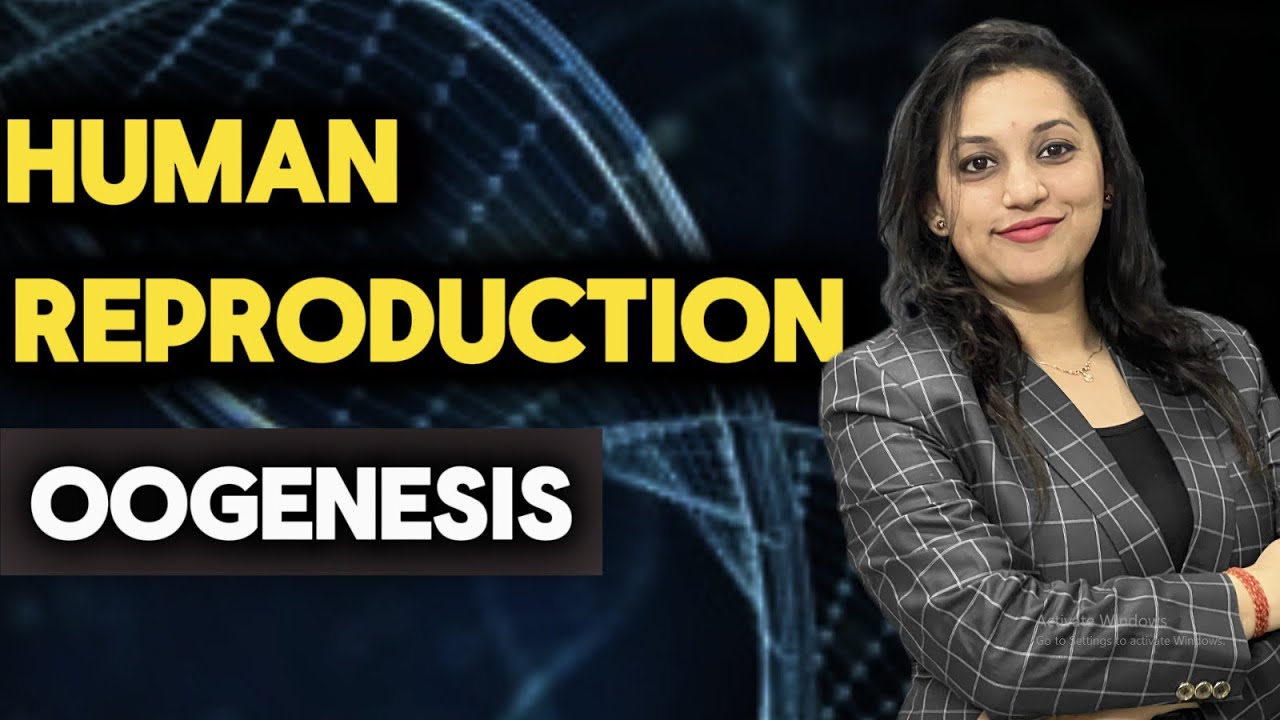 Human reproduction | Oogenesis| - YouTube