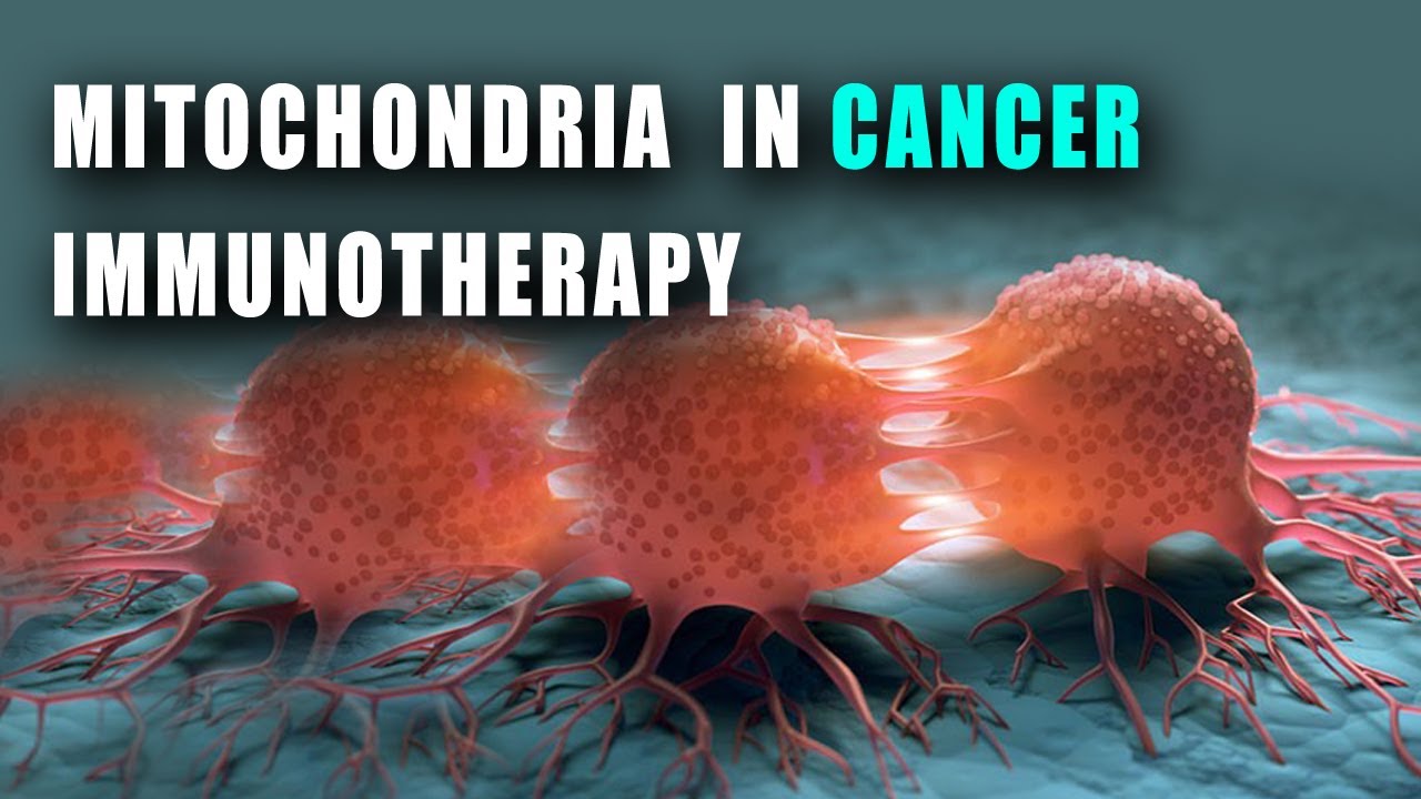 Understanding the Role of Mitochondria in Cancer Immunotherapy - YouTube