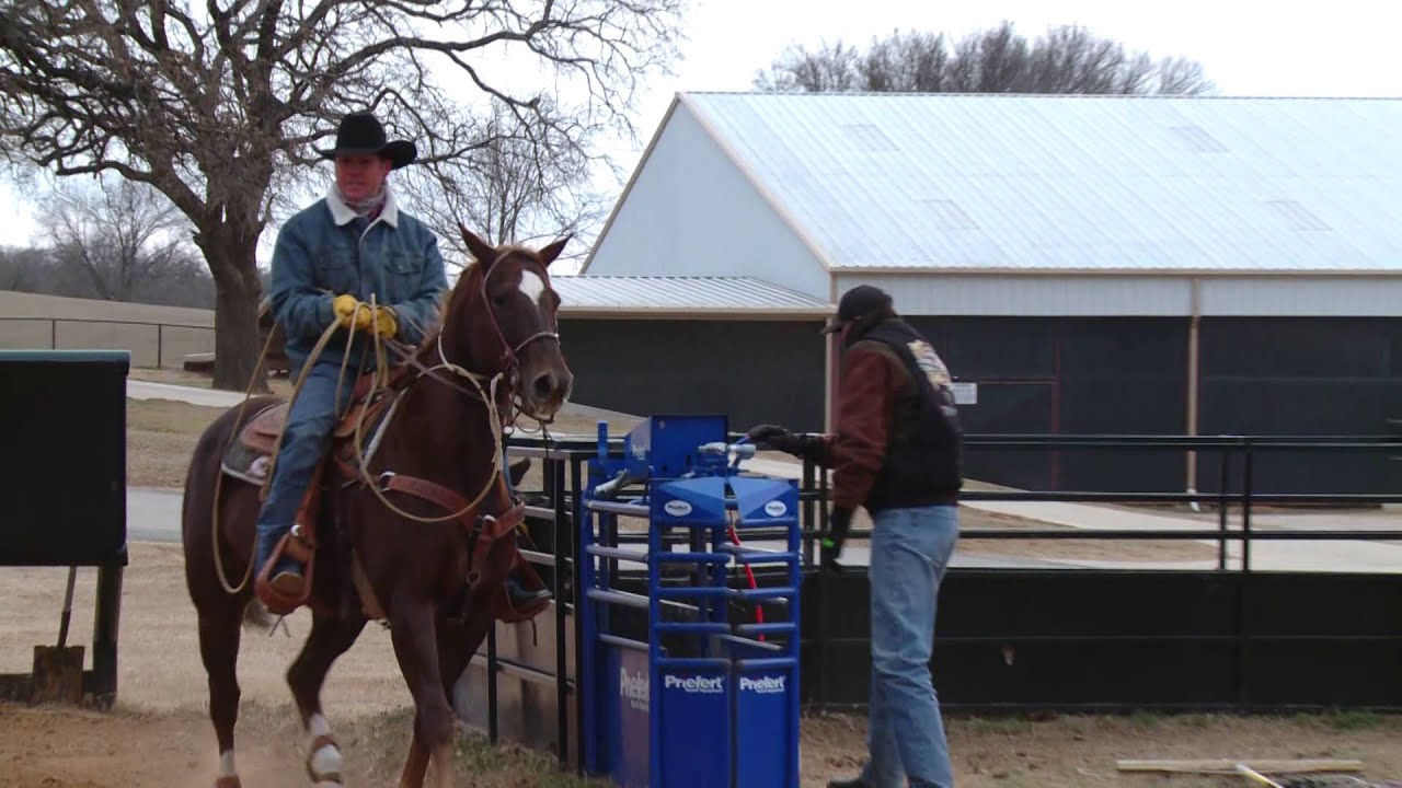 An Interview with Trevor Brazile - YouTube