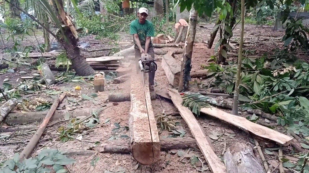 Teknik membelah kayu zaman now dengan senso - YouTube