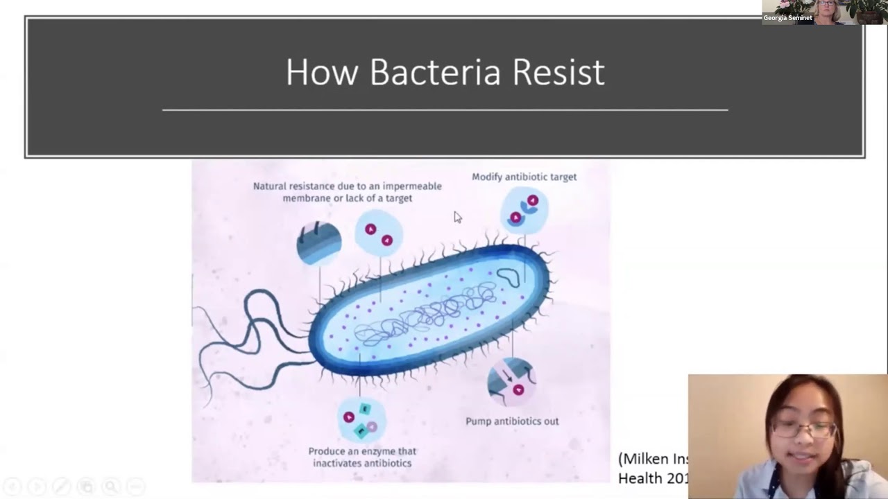 Angel Phan - YouTube