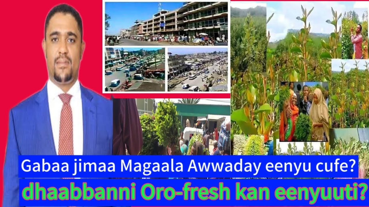 Gabaan jimaa Awwaday dhaabata #orofresh ja'amun fudhatamte - YouTube