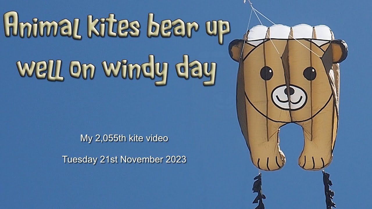 Animal kites bear up well on windy day - YouTube