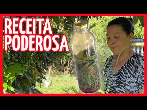 GARRAFADA para combater ÁCIDO ÚRICO, GOTA E REUMATISMO - Trançagem, Chapéu de Couro e Unha de Gato