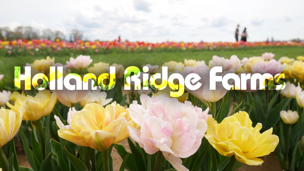 Holland Ridge Farms : Part 1 (04-19-2021) - YouTube