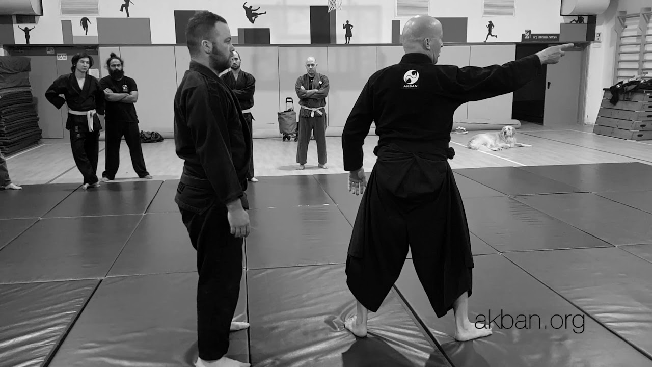 Tai sabaki 10 directions drill, Ninjutsu - YouTube