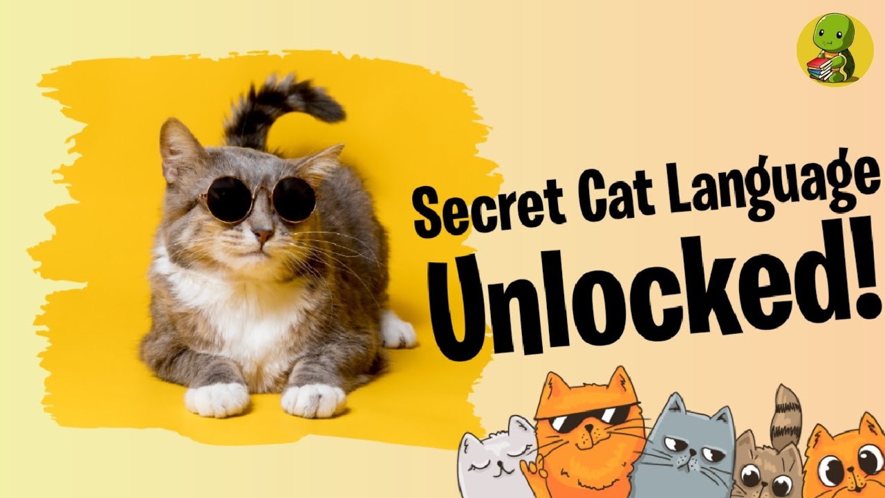 Unlocking Cat Communication: The Magic of the Slow Blink! - YouTube