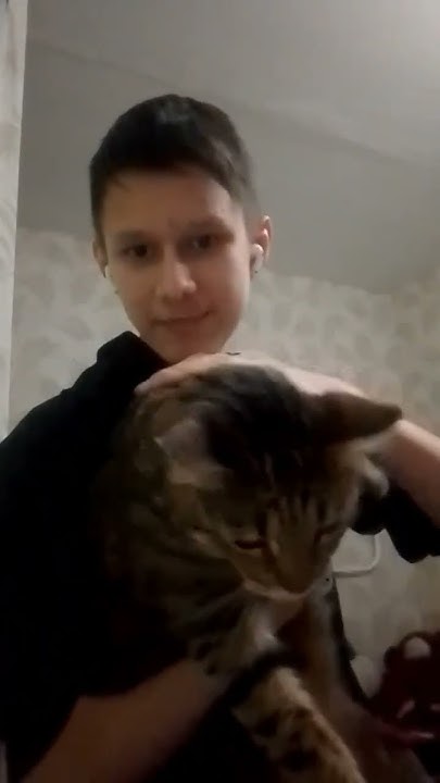 Барсик такой Барсик)🤣 - YouTube