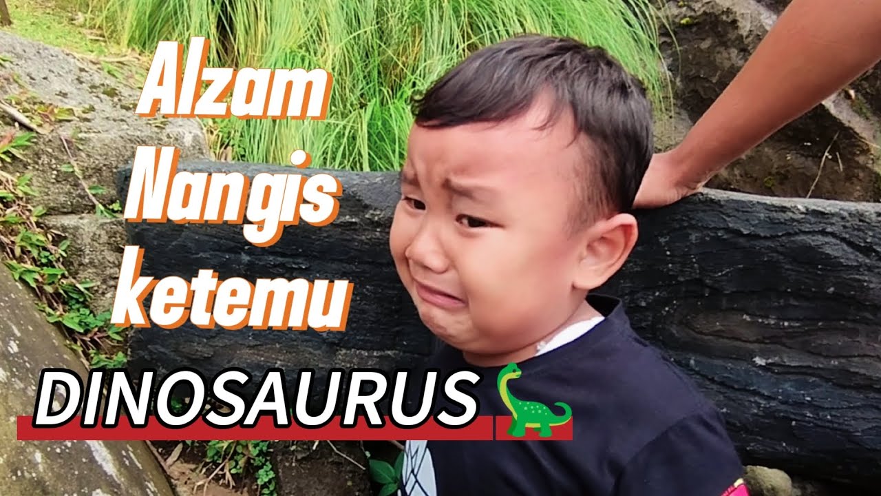 Keseruan Alzam Mengenal Dinosaurus | Bermain bersama ALZAM AND FAMILY ...