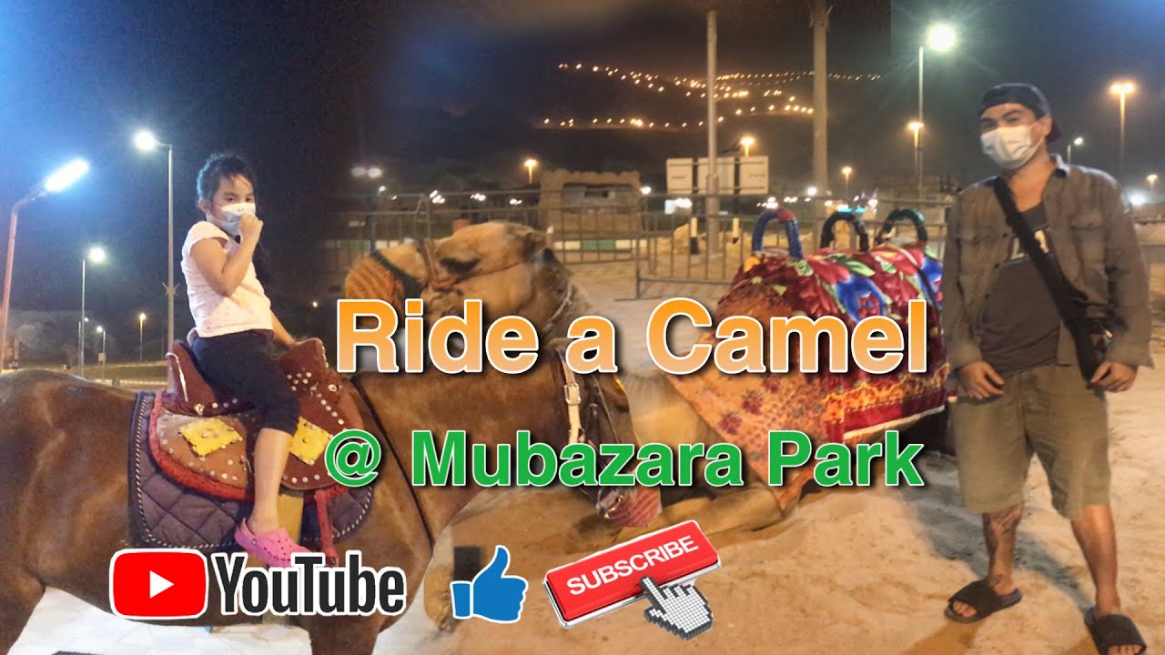 Ride a camel @ Mubazara park Al Ain UAE - YouTube