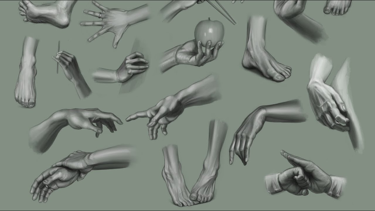 Hand and foot anatomical studies Timelapse - YouTube