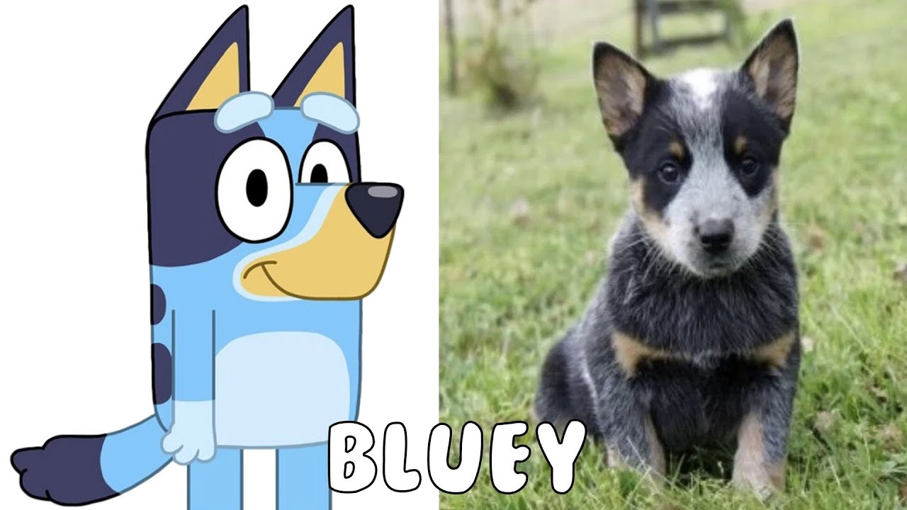 Bluey Characters IN REAL LIFE 2023 - YouTube