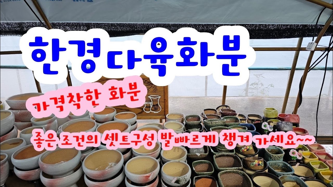 2023년 8월 22일 영상 207회차한경다육화분 수제공방분 다육화분 다육이 다육생활 다육식물 Youtube
