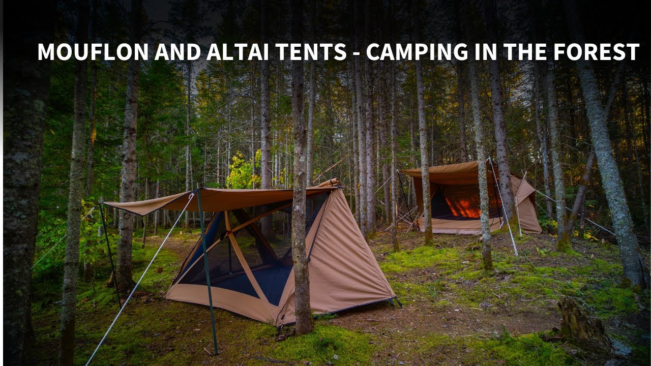 Mouflon and Altai Tents - Camping in the Forest - YouTube
