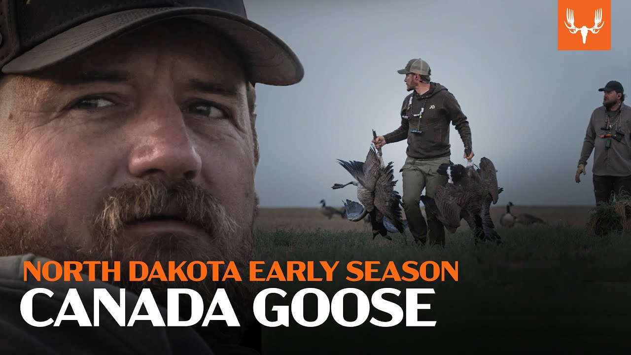 North Dakota Goose Hunting | Flying V Waterfowl - YouTube