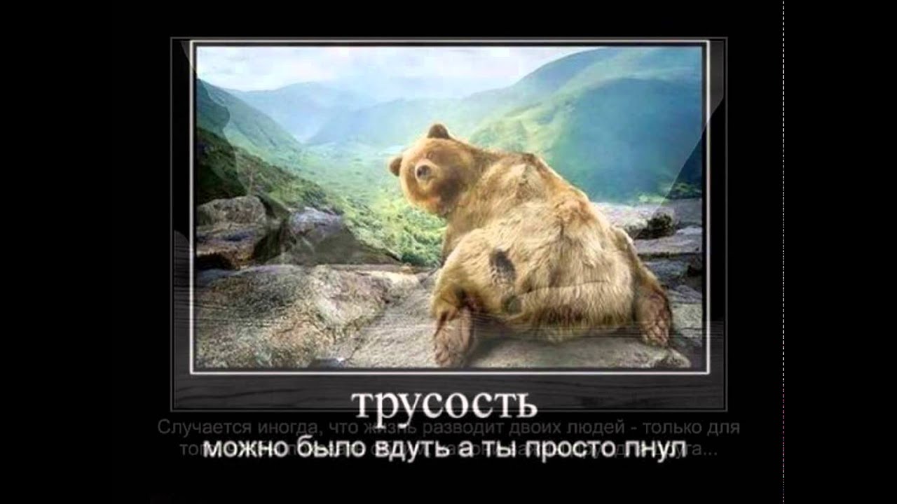 Демотиватор - Про Любовь [Demotivators - Love] - YouTube