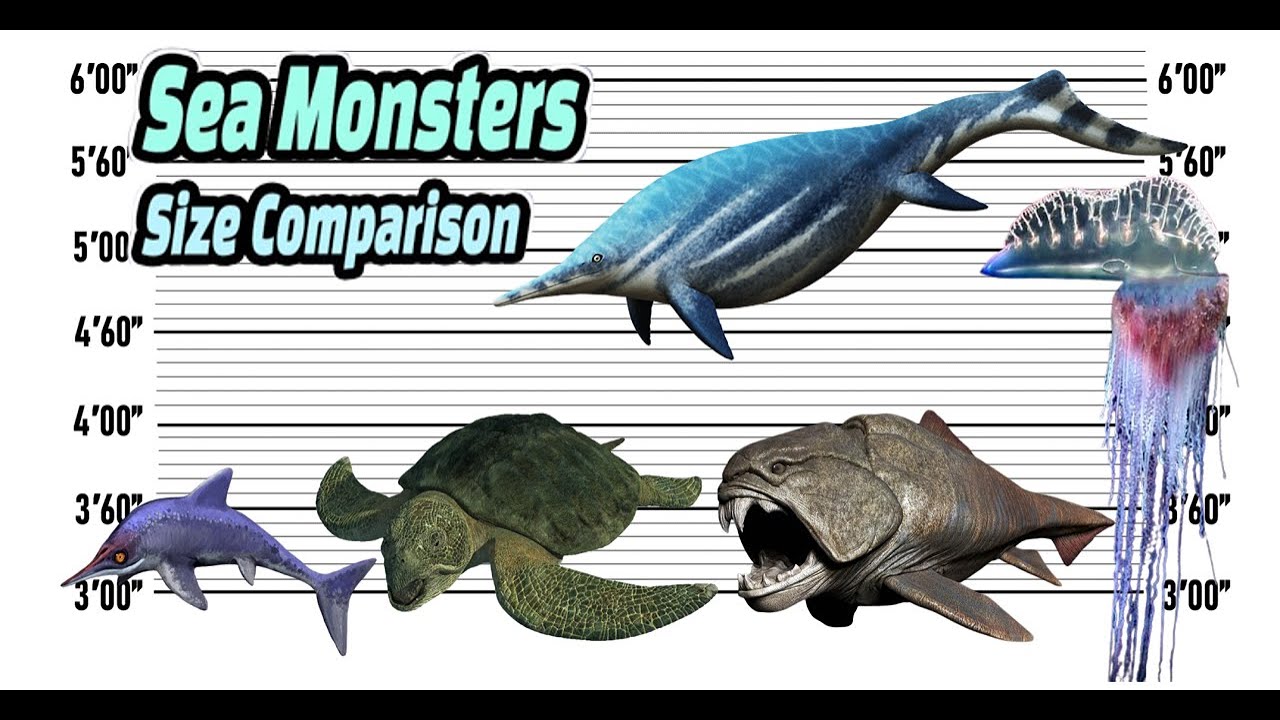Sea Monsters Size Comparison The Biggest Characters Of Sea Monsters sea-monsters-size-comparison-the-biggest-characters-of-sea-monsters