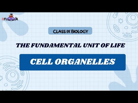 Class IX Biology / Cell Organelles / The Fundamental Unit of Life - YouTube