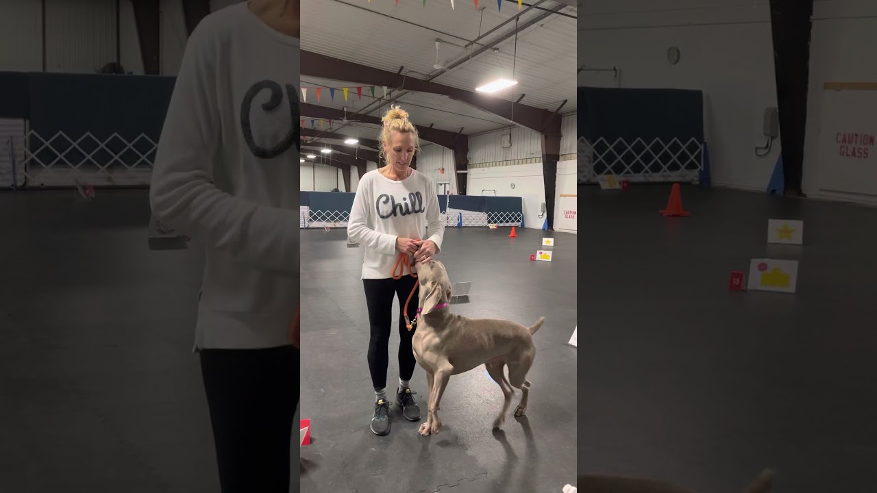 Novice Rally course #1 - YouTube