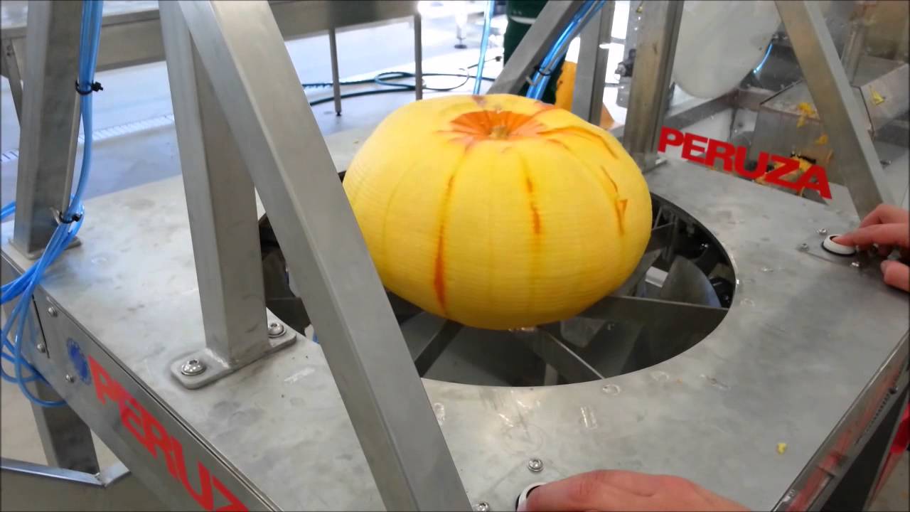 PERUZA Pumpkin Processing Line YouTube peruza-pumpkin-processing-line-youtube