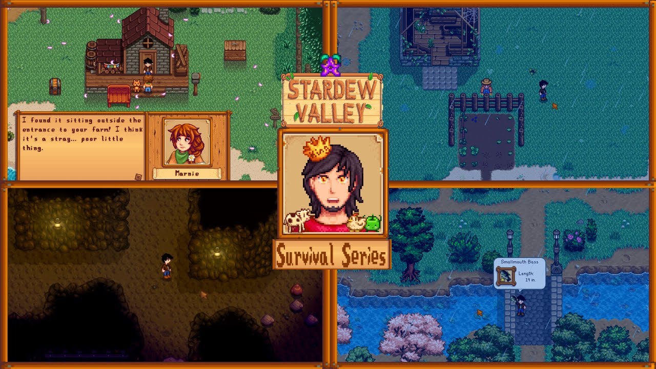 Our new friend Orange in Stardew Valley: A Survival Series | Ep3 - YouTube