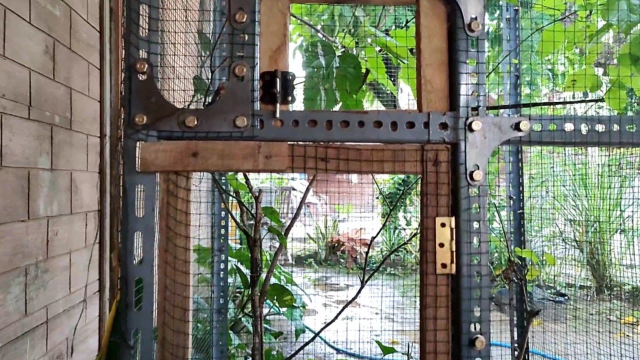 Detail Pintu Aviary mini samping rumah praktis dan murah - YouTube