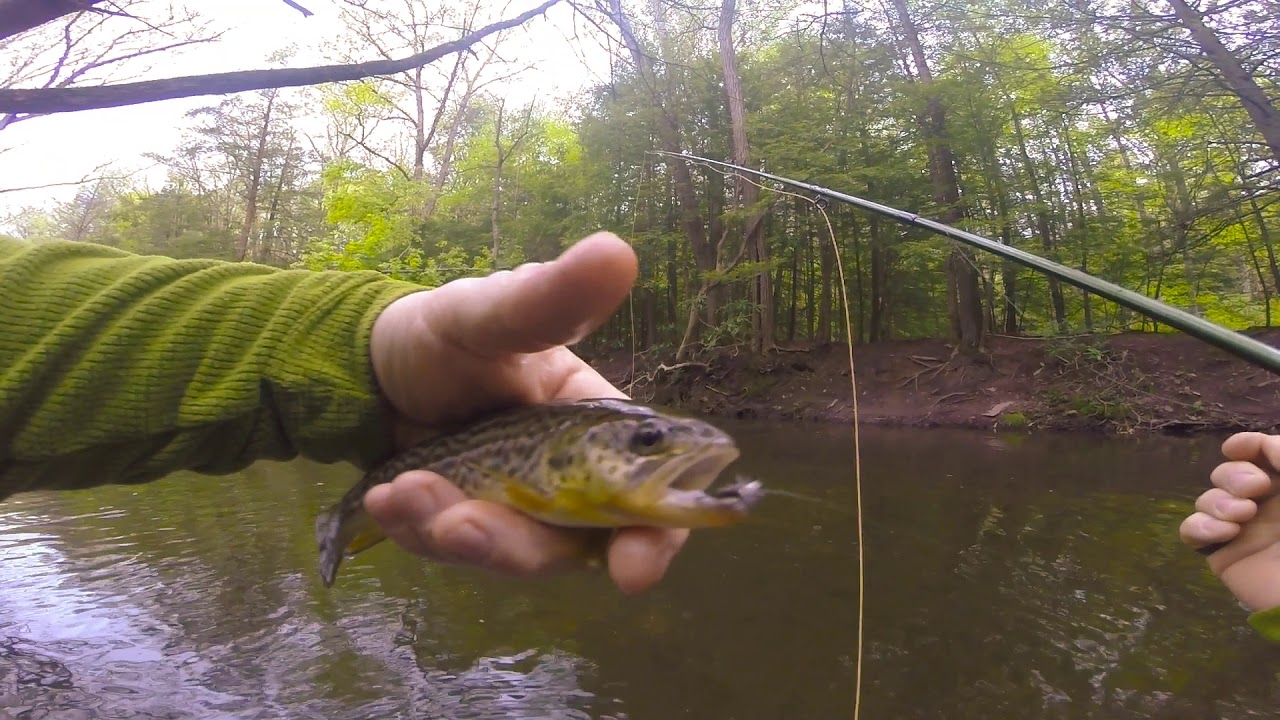 Memorial weekend fishing at Clarks - YouTube