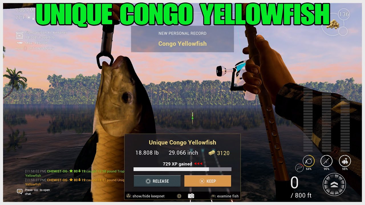 How To Catch Unique Congo Yellowfish Hotspot Guide - At The Congo River ...