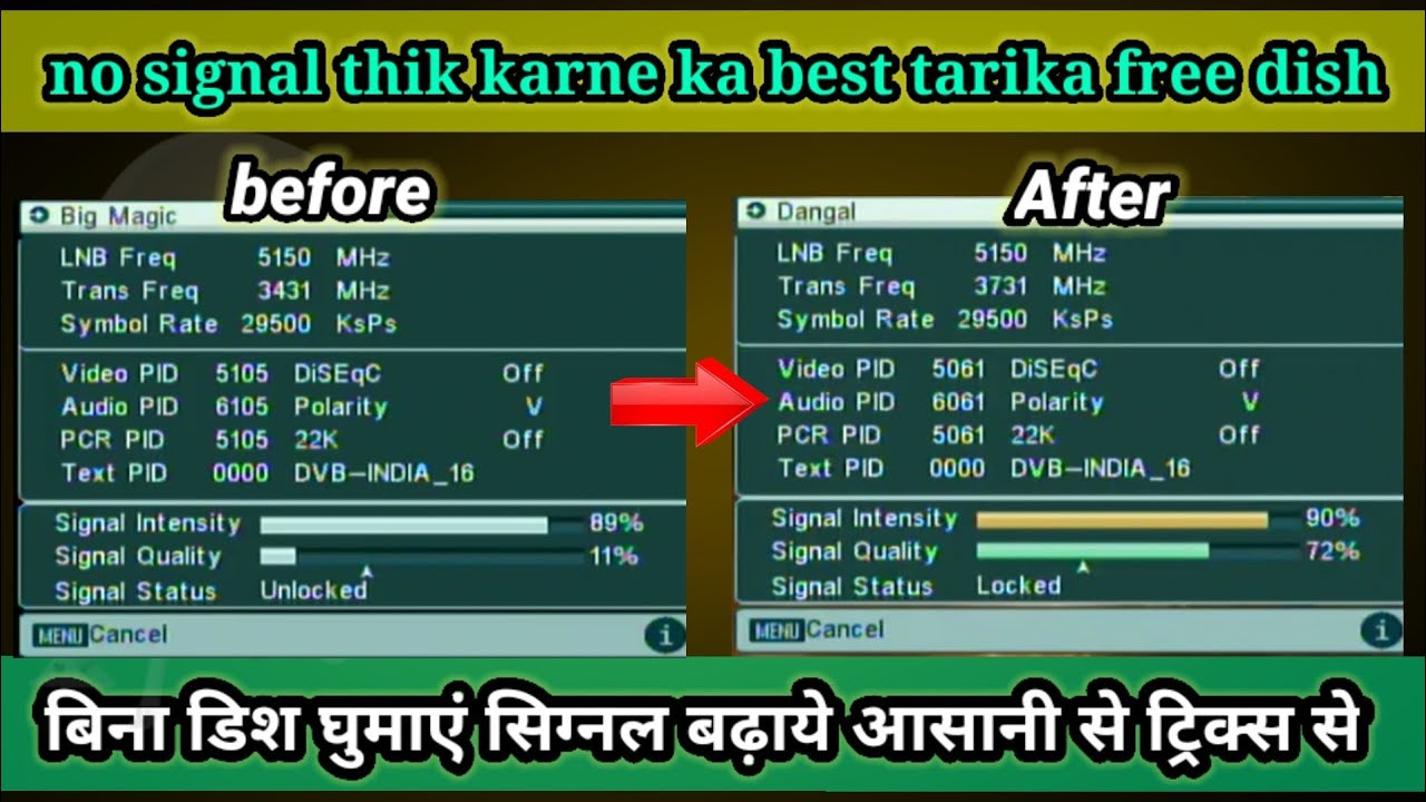 no signal problem solution in DD free Dish easily | no signal theek Karne Ka best Tarika free ...