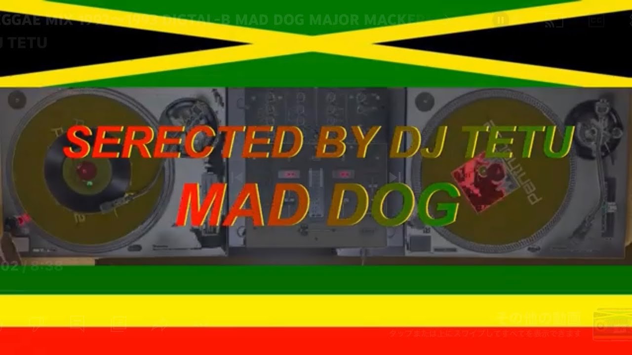 REGGAE MIX 1992～1993 DIGTAL-B MAD DOG MAJOR MACKEREL/TERRY GANZIE/DADDY ...