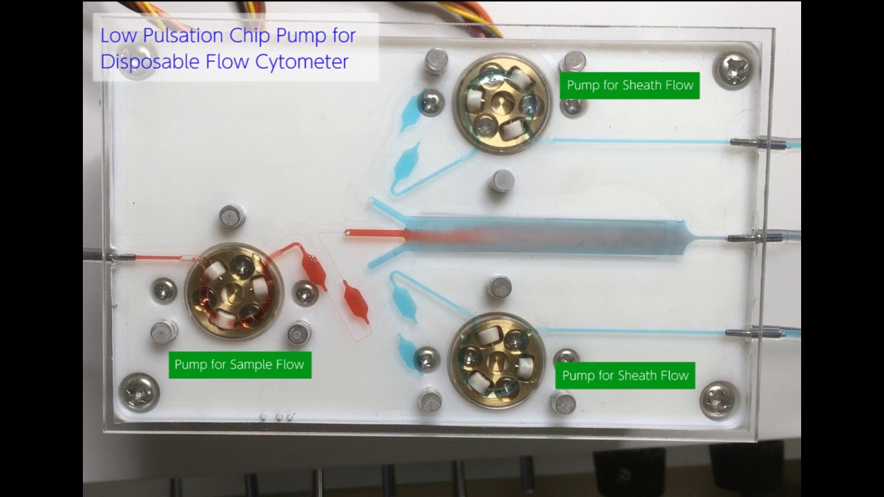 Low Pulsation Chip Pump for Disposable Flow Cytometer - YouTube