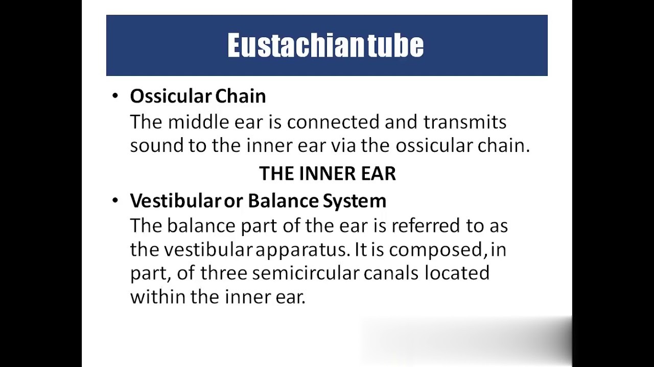 Medical Coding EAR Medical Terminology Anatomy And Physiology YouTube medical-coding-ear-medical-terminology-anatomy-and-physiology-youtube