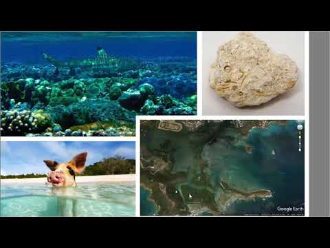 Sedimentary rocks part 2 - YouTube