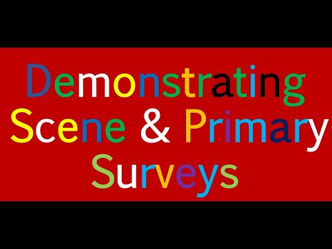 Scene And Primary Survey Demonstration - YouTube