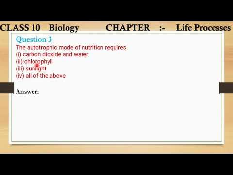 Q3 The autotrophic mode of nutrition requires(i) carbon dioxide and water(ii) chlorophyll(iii ...