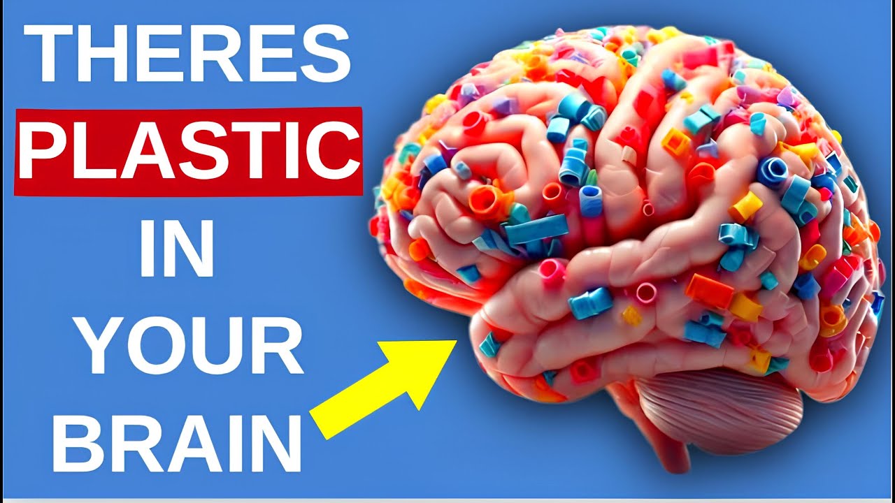 Why theres PROBABLY plastic in your BRAIN - YouTube