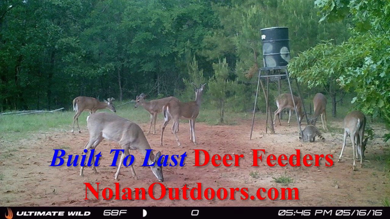 Built to Last Deer Feeder - YouTube