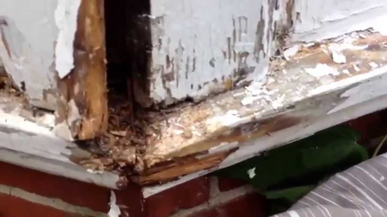 repairing ROTTEN wood WINDOW DIY tips part 1 - YouTube