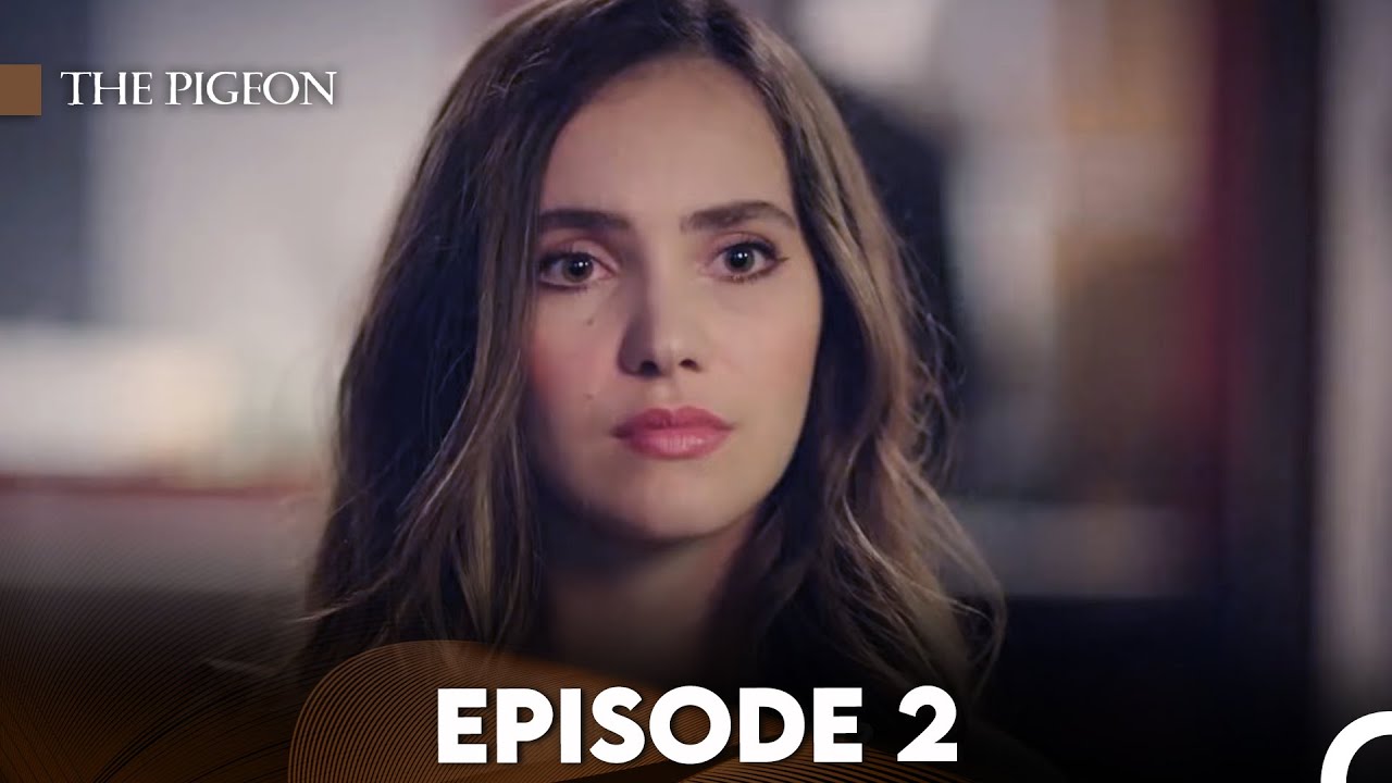 The Pigeon Episode 2 (FULL HD) - YouTube