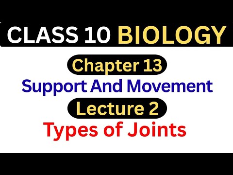 Types of Joints | Chapter 13 – Support and Movement | Lecture 2 | Class ...
