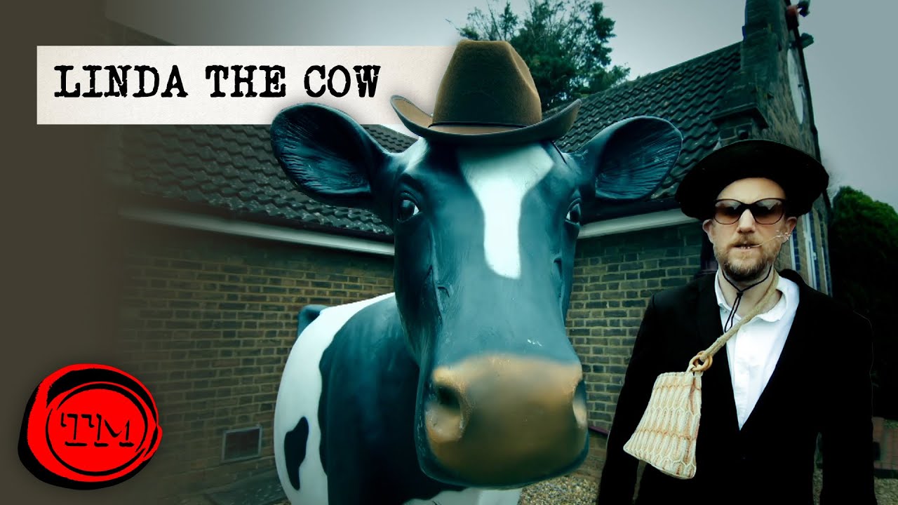The Best of Linda The Cow | Taskmaster - YouTube