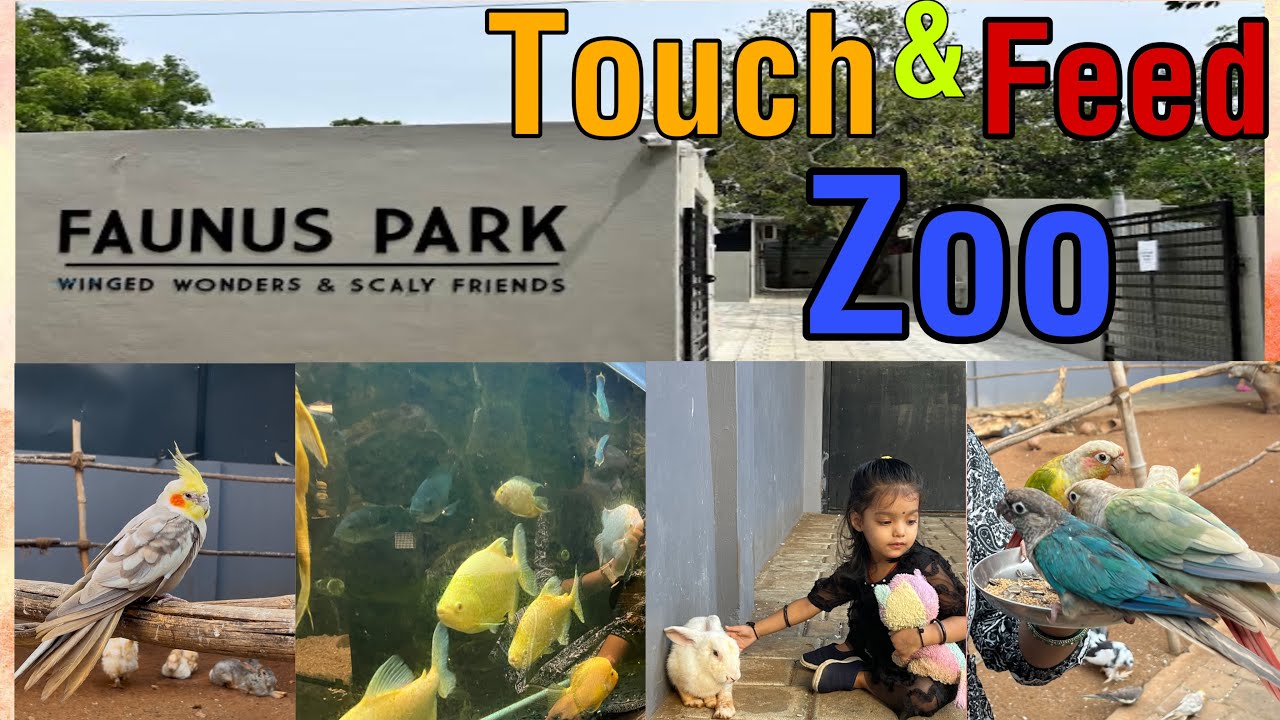 Faunus Park Chennai | Touch and Feed Zoo | Bird Park - YouTube