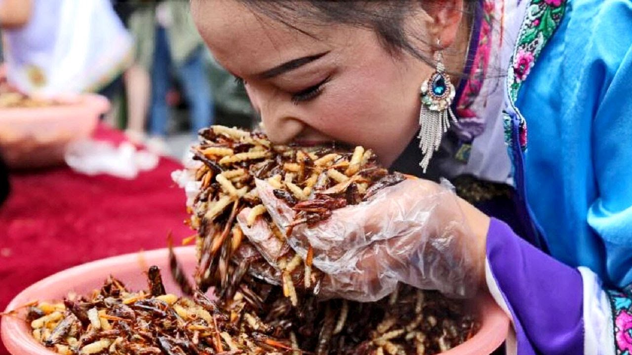 LOS INSECTOS SON COMIDA DEL FUTURO - ¿Por qué nos dan tanto asco? - YouTube