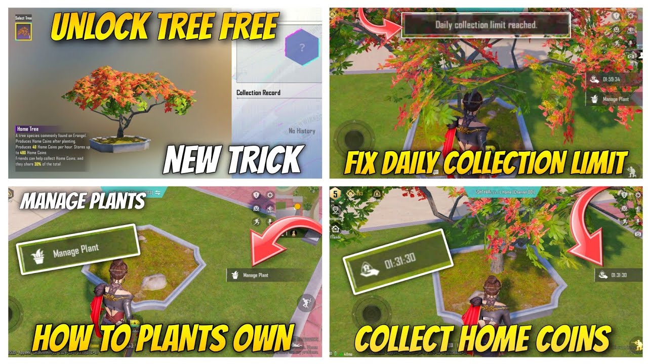 How To Get Free Home Tree In Pubg Home/How To Collect Coins From Home ...