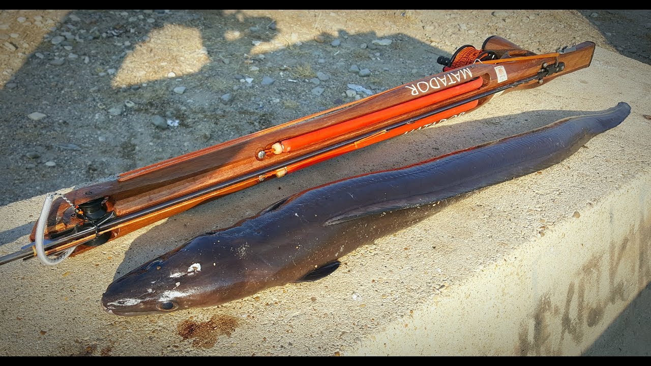 GRONGO TECNICA INFALLIBILE MATADOR 76 pesca sub spearfishing - YouTube