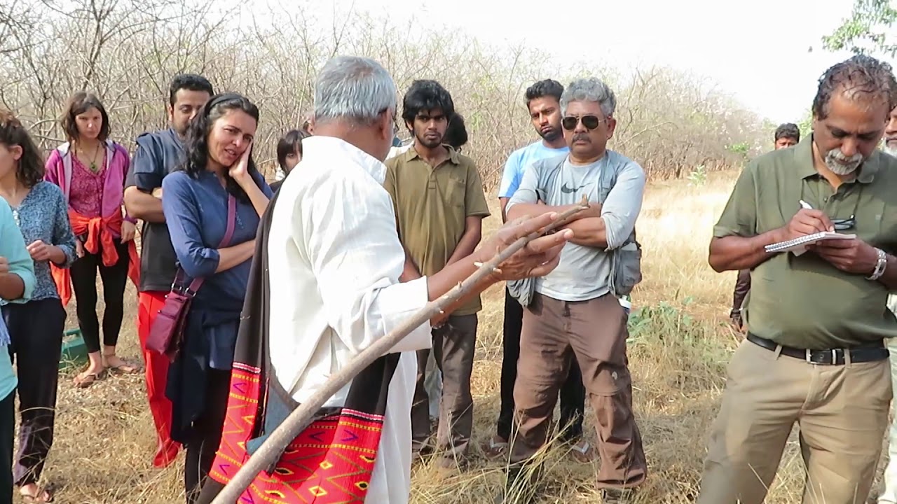 Firebreak in your farm - YouTube