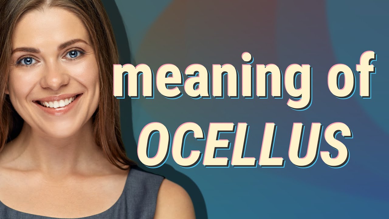 Ocellus | meaning of Ocellus - YouTube