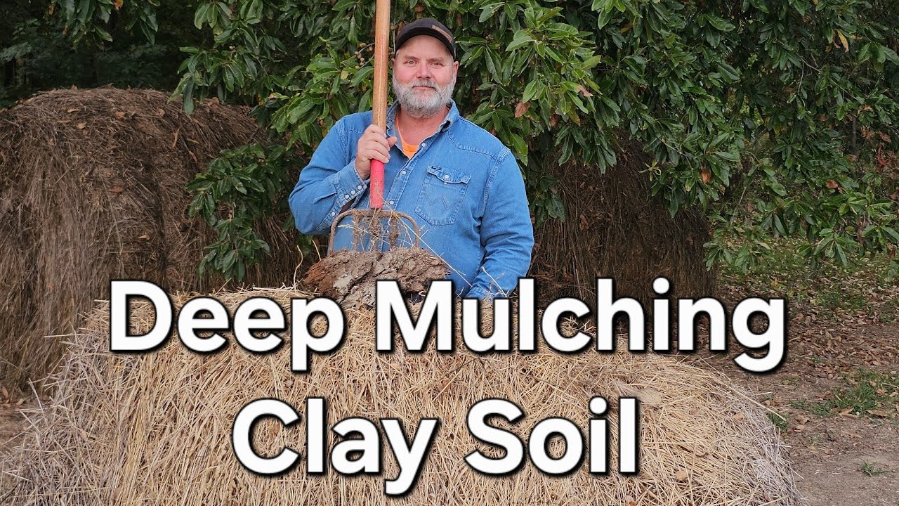 Adapting the Ruth Stout method for clay soil. - YouTube