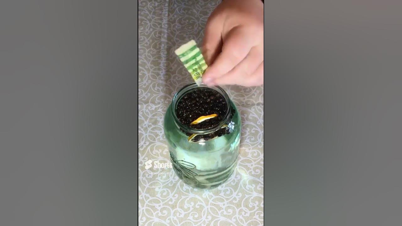 Настойка Можжевеловая от ВИНОКУР УМЕЛЕЦ (Полный обзор на канале во ...